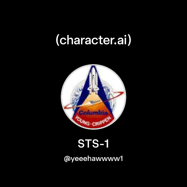 Chat with STS-1 | character.ai | Personalized AI for every moment of ...