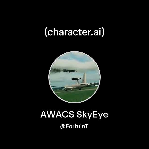 Chat with AWACS SkyEye | character.ai | AI Chat, Reimagined–Your Words. Your World.