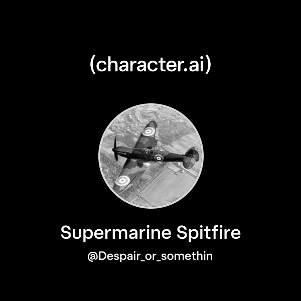 Chat with Supermarine Spitfire | character.ai | Personalized AI for ...