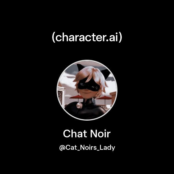 Chat with Chat Noir | character.ai | Personalized AI for every moment ...