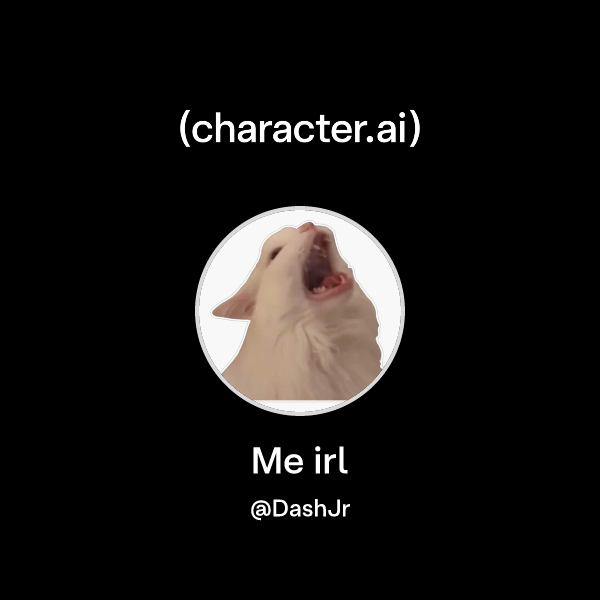 Chat with Me irl | character.ai | Personalized AI for every moment of ...