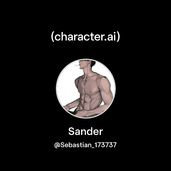 Chat with Sander | character.ai | Personalized AI for every moment of your day
