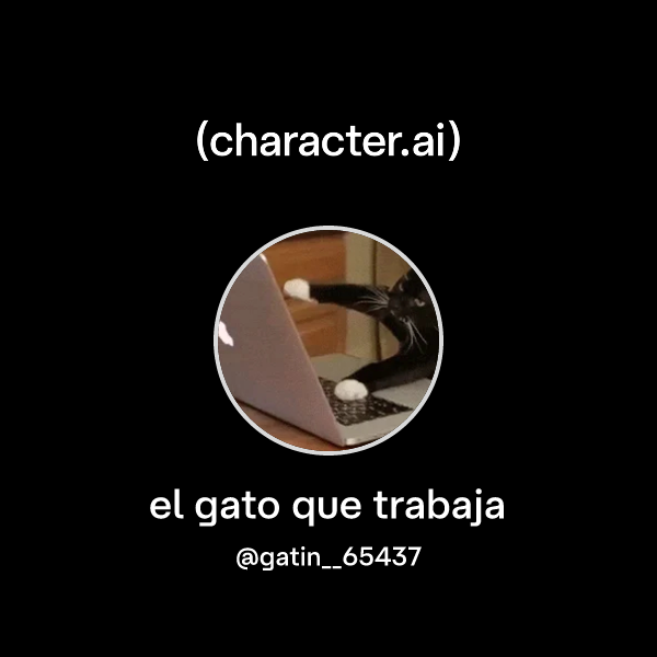 Chat with el gato que trabaja | character.ai | Personalized AI for ...