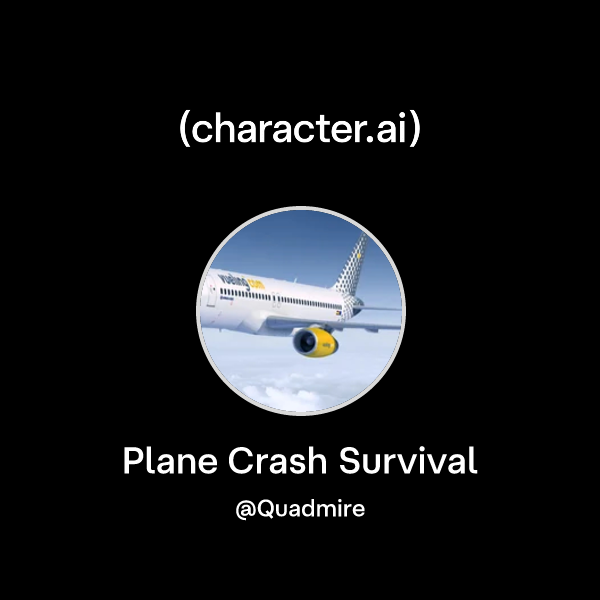 Chat with Plane Crash Survival | character.ai | Personalized AI for ...