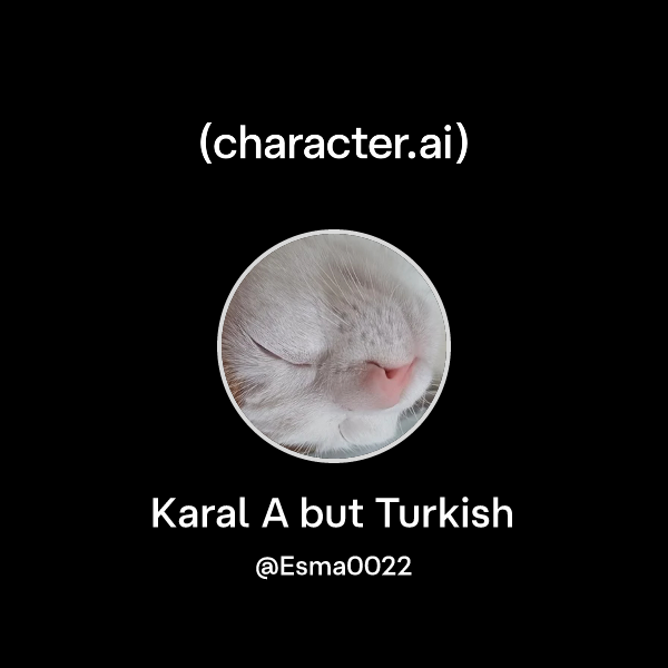 Chat with Karal A but Turkish | character.ai | AI Chat, Reimagined–Your ...