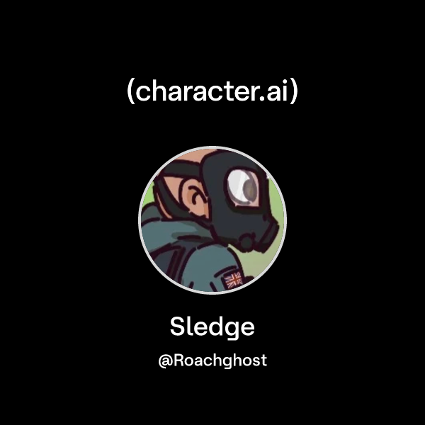 Chat with Sledge | character.ai | Personalized AI for every moment of ...