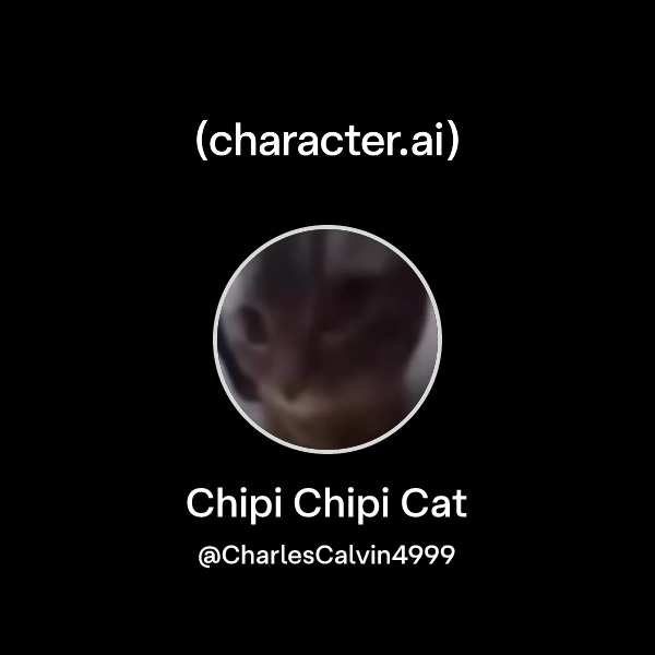 Chat with Chipi Chipi Cat | character.ai | Personalized AI for every ...