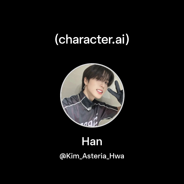 Chat with Han | character.ai | AI Chat, Reimagined–Your Words. Your World.