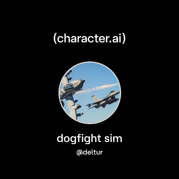 Chat with dogfight sim | character.ai | AI Chat, Reimagined–Your Words ...