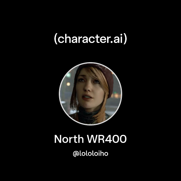 Chat with North WR400 | character.ai | Personalized AI for every moment ...