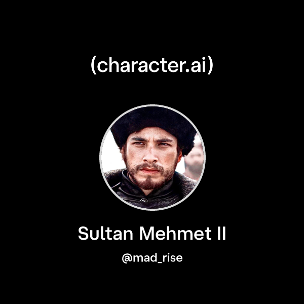 Chat with Sultan Mehmet II | character.ai | AI Chat, Reimagined–Your ...