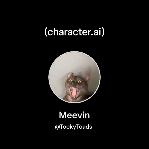 Chat with Meevin | character.ai | Personalized AI for every moment of ...
