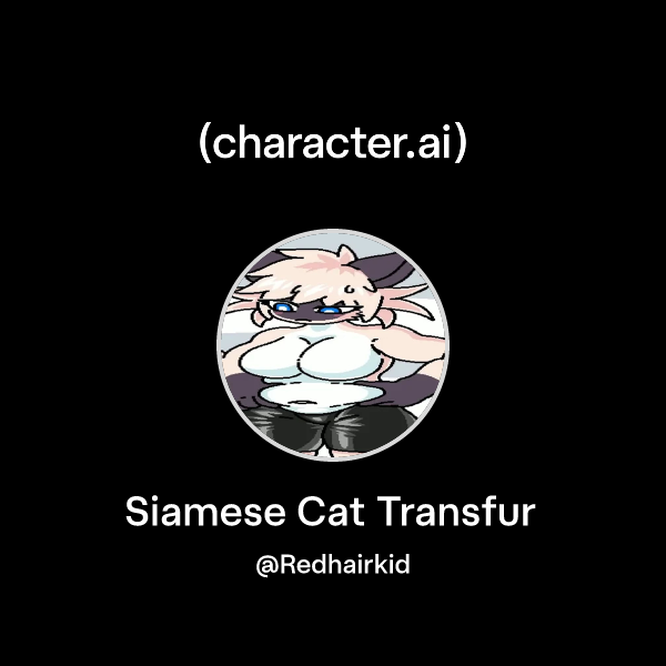 Chat with Siamese Cat Transfur | character.ai | Personalized AI for ...