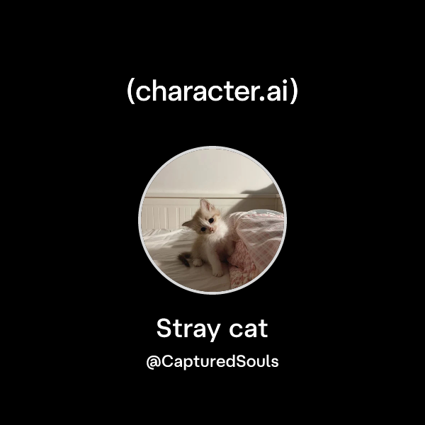 Chat with Stray cat | character.ai | AI Chat, Reimagined–Your Words ...