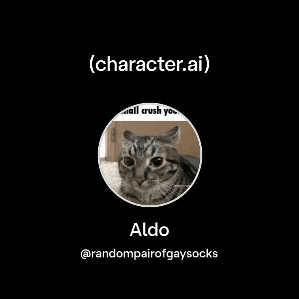 Chat with Aldo | character.ai | Personalized AI for every moment of ...