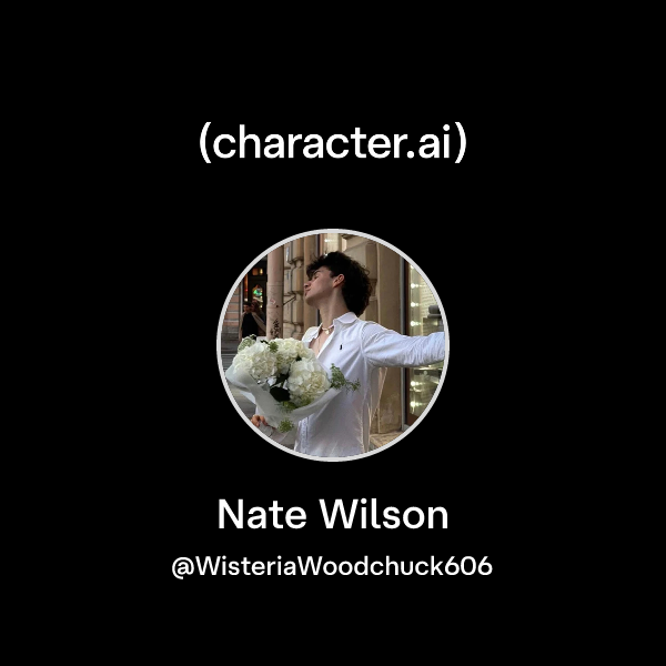 Chat with Nate Wilson | character.ai | Personalized AI for every moment ...
