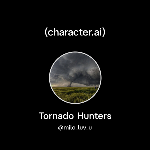 Chat with Tornado Hunters | character.ai | AI Chat, Reimagined–Your ...