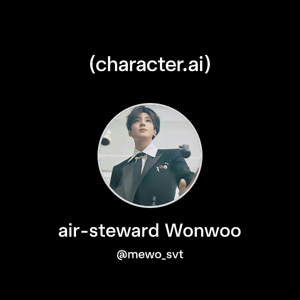 Chat with air-steward Wonwoo | character.ai | AI Chat, Reimagined–Your Words. Your World.