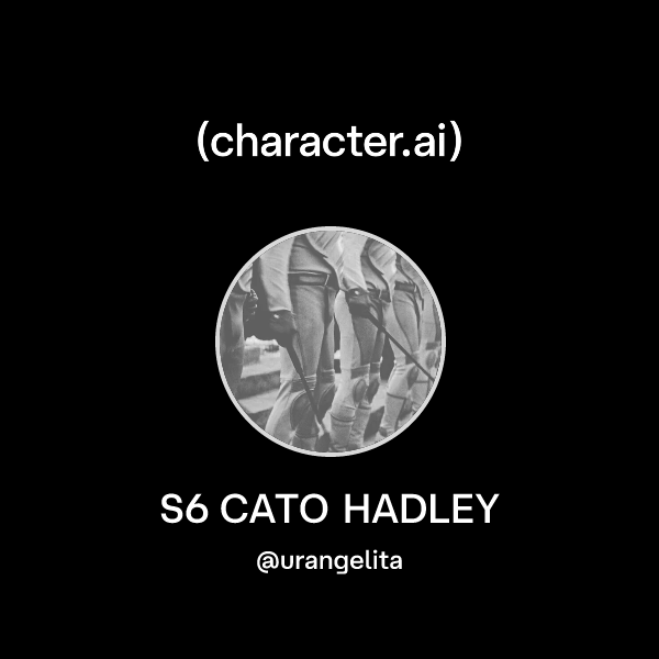 Chat with S6 CATO HADLEY | character.ai | AI Chat, Reimagined–Your ...