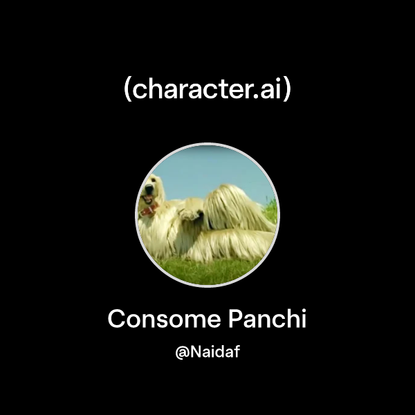Chat with Consome Panchi | character.ai | Personalized AI for every ...