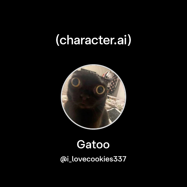 Chat with Gatoo | character.ai | Personalized AI for every moment of ...