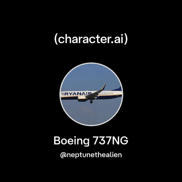 Chat with Boeing 737NG | character.ai | Personalized AI for every ...
