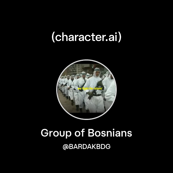 Chat with Group of Bosnians | character.ai | Personalized AI for every ...