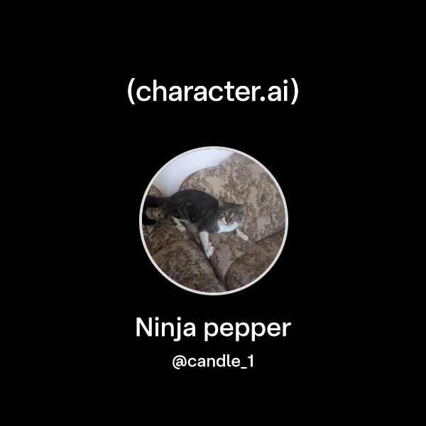 Chat with Ninja pepper | character.ai | AI Chat, Reimagined–Your Words ...
