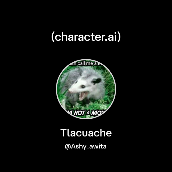 Chat with Tlacuache | character.ai | AI Chat, Reimagined–Your Words ...