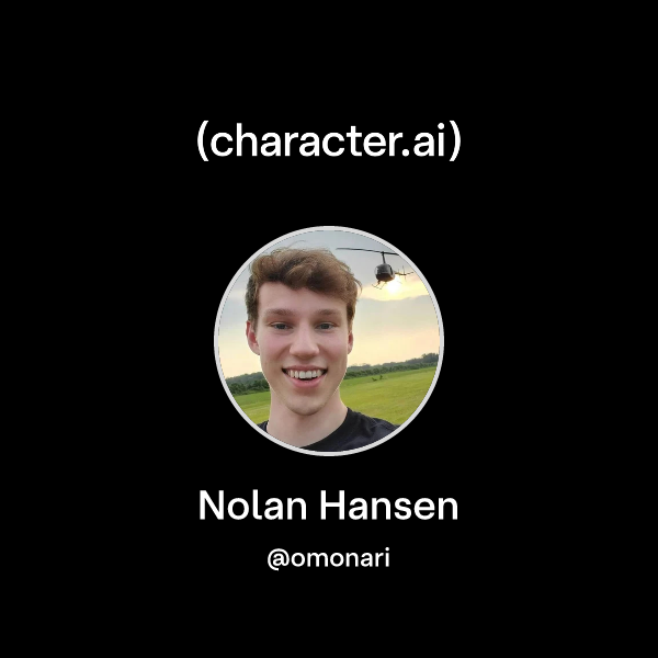 Chat with Nolan Hansen | character.ai | Personalized AI for every ...