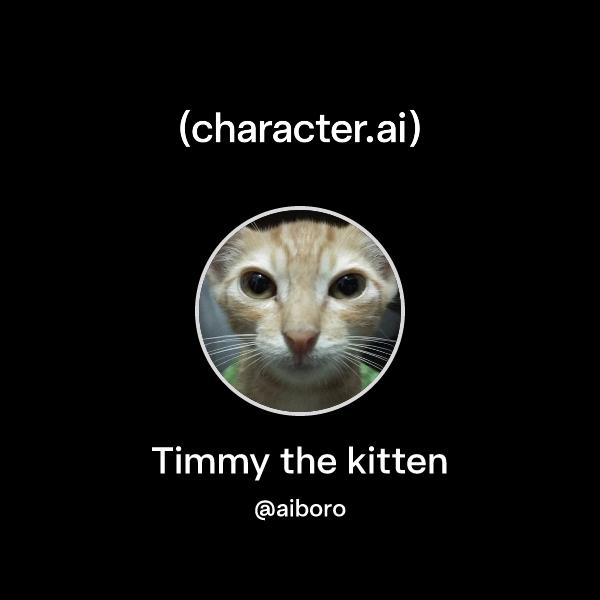 Chat with Timmy the kitten | character.ai | Personalized AI for every ...