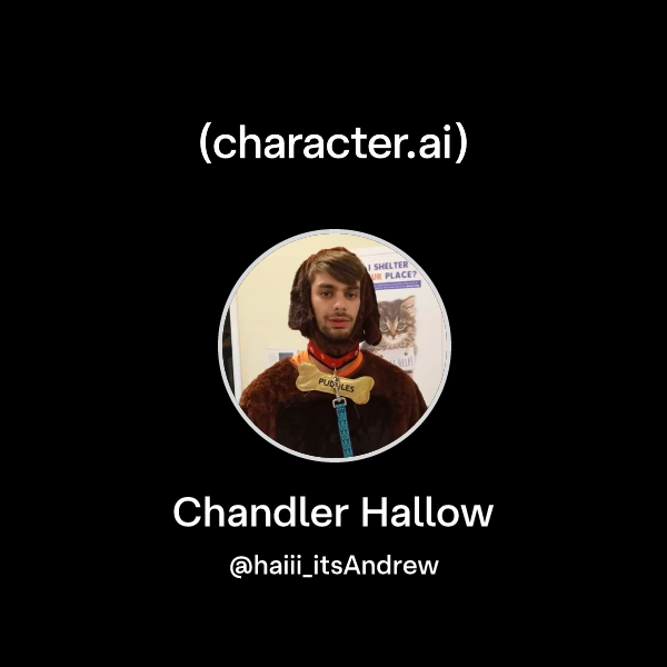Chat with Chandler Hallow | character.ai | Personalized AI for every ...