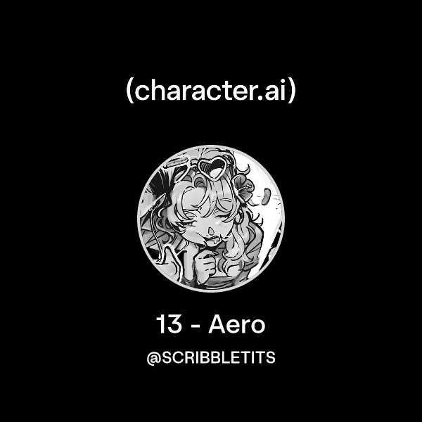 Chat with 13 - Aero | character.ai | AI Chat, Reimagined–Your Words. Your World.
