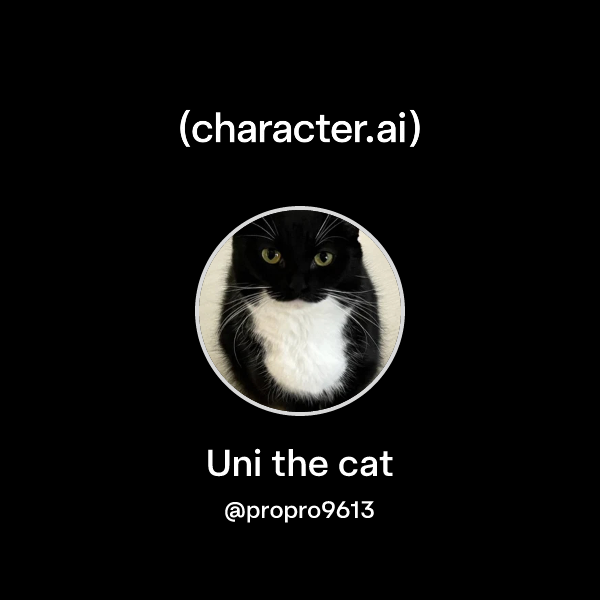Chat with Uni the cat | character.ai | AI Chat, Reimagined–Your Words ...