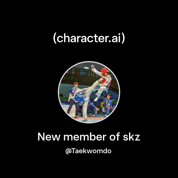 Chat with New member of skz | character.ai | AI Chat, Reimagined–Your ...