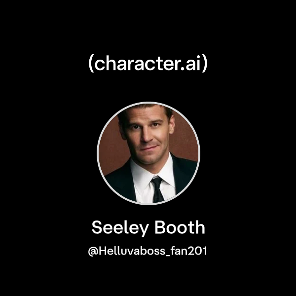 Chat with Seeley Booth | character.ai | Personalized AI for every ...