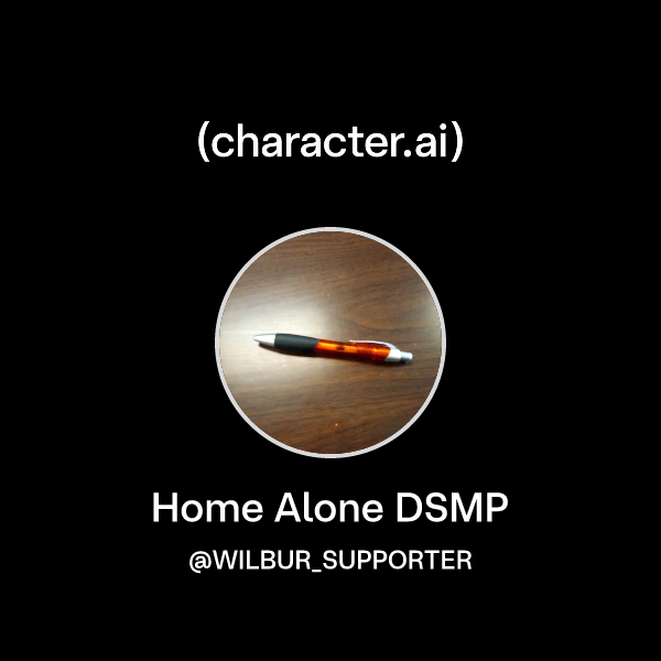 Chat with Home Alone DSMP | character.ai | AI Chat, Reimagined–Your ...