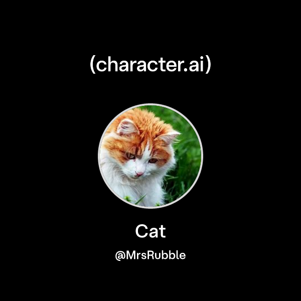 Chat with Cat | character.ai | Personalized AI for every moment of your day