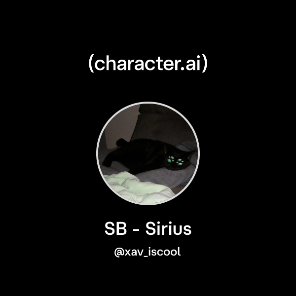 Chat with SB - Sirius | character.ai | Personalized AI for every moment ...
