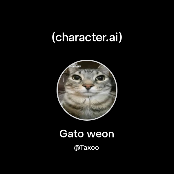 Chat with Gato weon | character.ai | Personalized AI for every moment ...