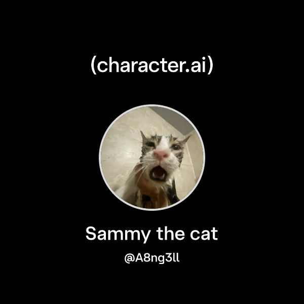 Chat with Sammy the cat | character.ai | Personalized AI for every ...