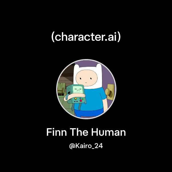 Chat with Finn The Human | character.ai | Personalized AI for every ...