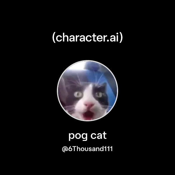 Chat with pog cat | character.ai | AI Chat, Reimagined–Your Words. Your ...