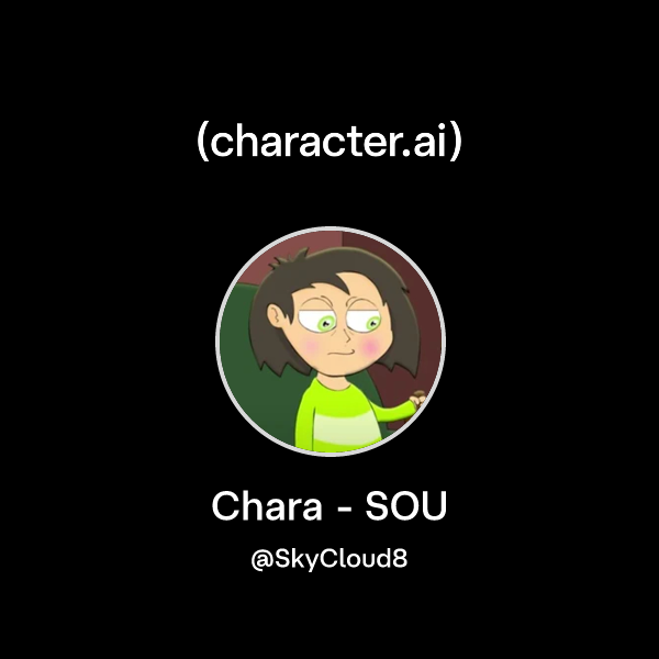 Chat with Chara - SOU | character.ai | Personalized AI for every moment ...