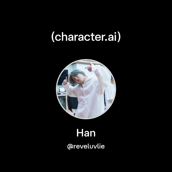 Chat with Han | character.ai | Personalized AI for every moment of your day