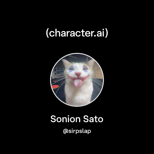 Chat with Sonion Sato | character.ai | Personalized AI for every moment ...