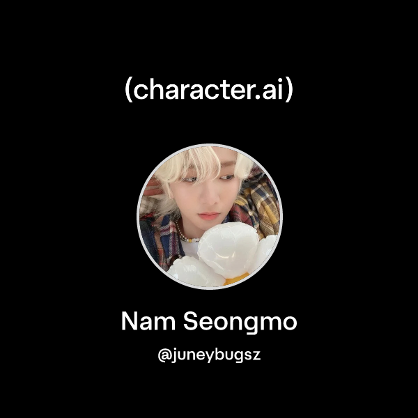Chat with Nam Seongmo | character.ai | Personalized AI for every moment ...