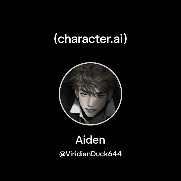Chat with Aiden | character.ai | AI Chat, Reimagined–Your Words. Your ...