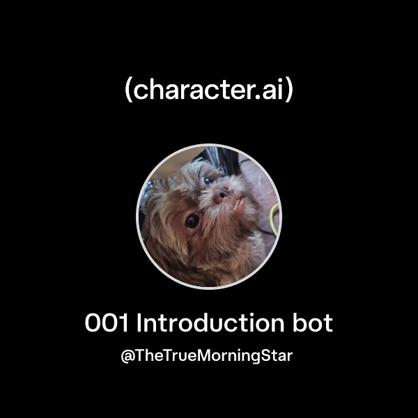 Chat with 001 Introduction bot | character.ai | Personalized AI for ...