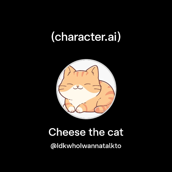 Chat with Cheese the cat | character.ai | Personalized AI for every ...